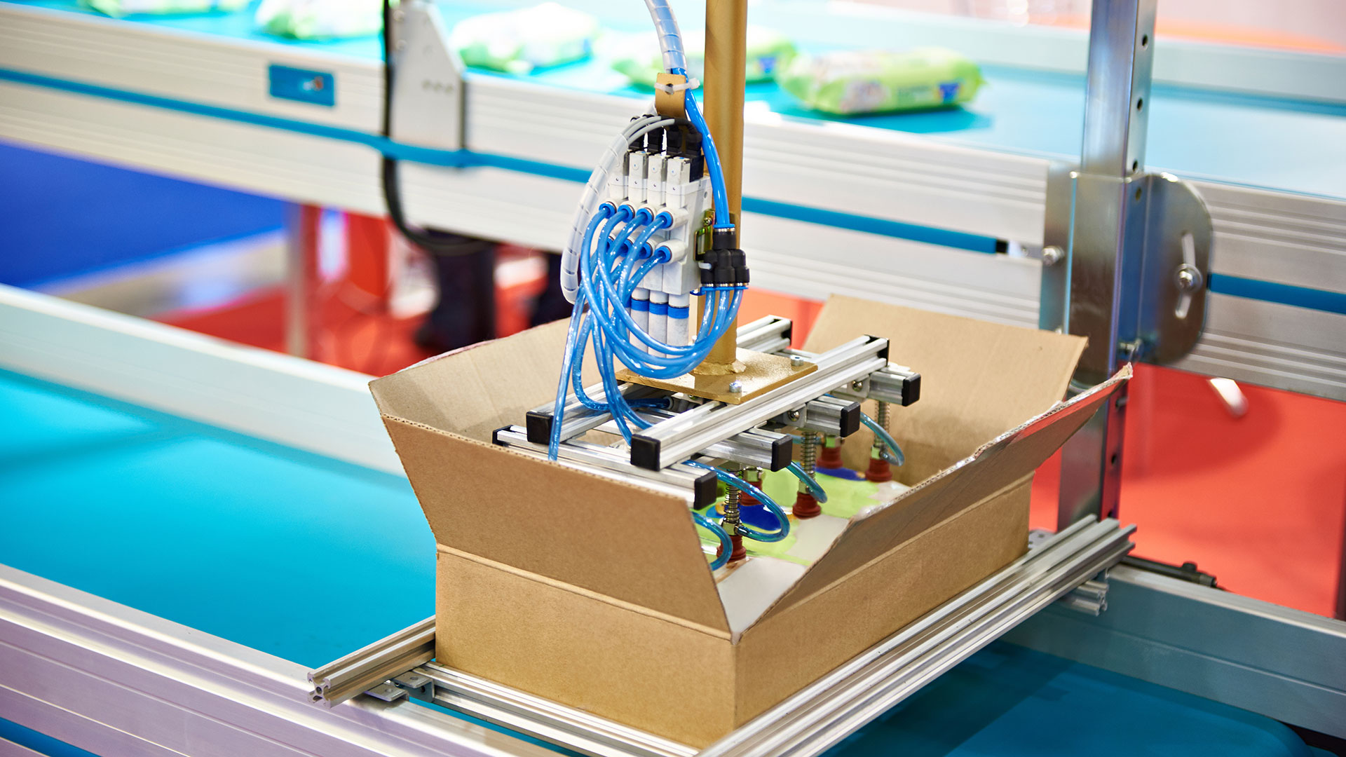 Packaging - Production - UMAMI Arena